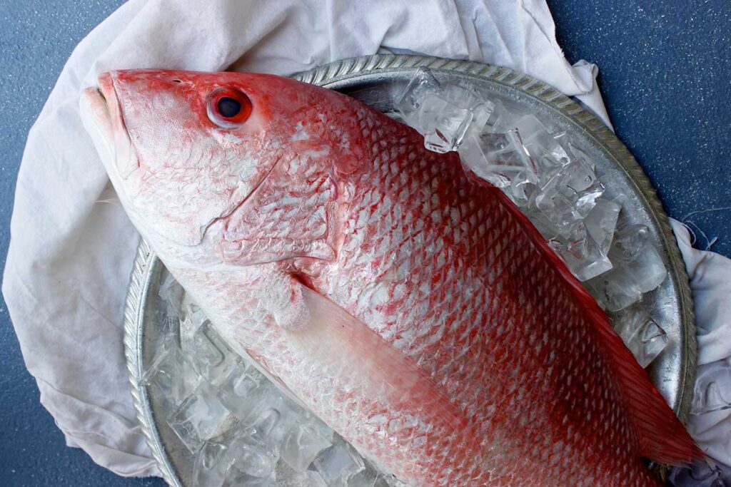 Atlanta Fish Market | Buckhead's Widest Selection of Fresh Fish